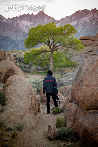 Asian man tourist and photographer holding camera looking at lone tree ...