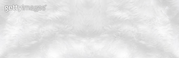 Wide animal white wool sheep background in top view light natural. Grey ...