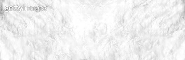 Closeup animal white wool sheep panoramic background in top view light ...