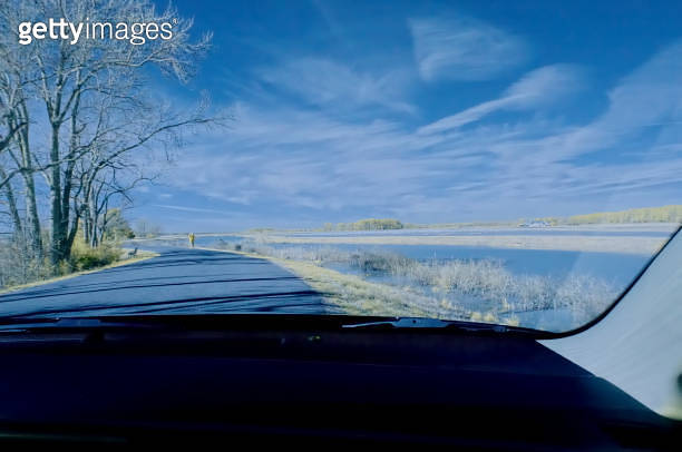 Blackwater NWR Infrared Windshield View 이미지 (1207581627) - 게티이미지뱅크