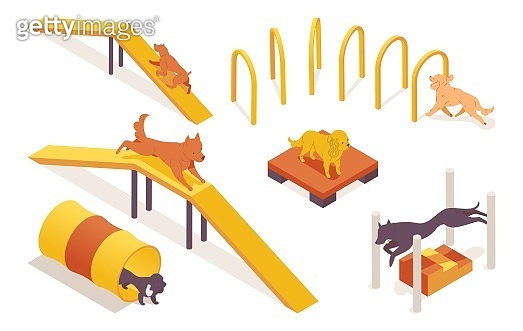 Isometric collection of dogs training on pet agility equipment elements ...