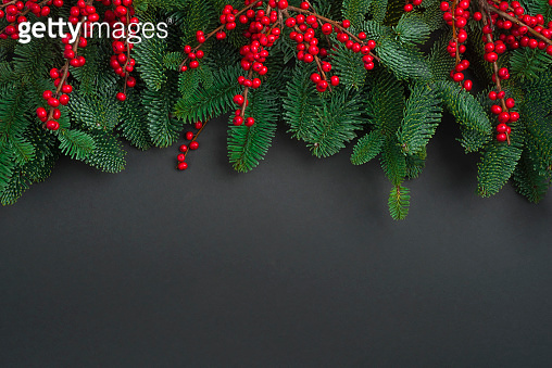 Fir tree branches with red berry twigs on dark background 이미지 ...
