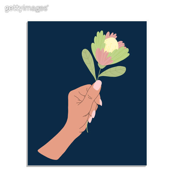 Vector female tender hand holds a flower 이미지 (1254068097) - 게티이미지뱅크