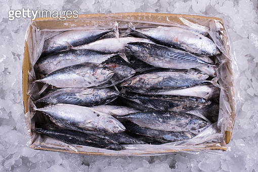 Ocean Fish Fresh Frozen Raw Material for Cooking restaurant import ...