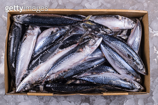 Ocean Fish Fresh Frozen Raw Material for Cooking restaurant import ...