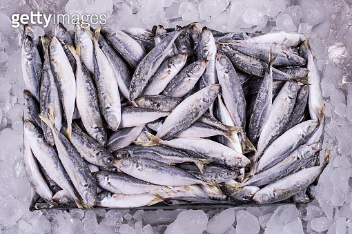 Ocean Fish Fresh Frozen Raw Material for Cooking restaurant import ...