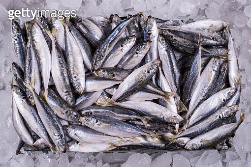 Ocean Fish Fresh Frozen Raw Material for Cooking restaurant import ...
