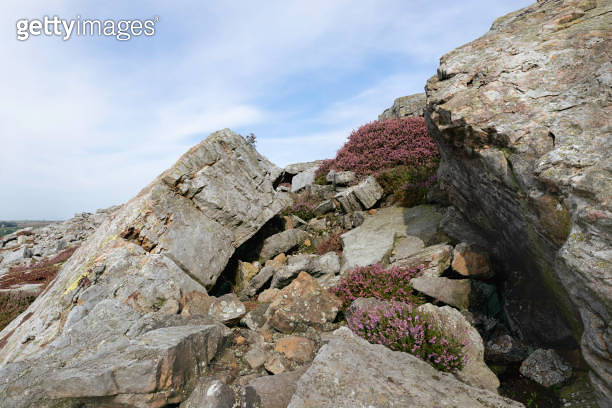 Rugged moorland with large rocks and flowering heather. Goathland, UK ...
