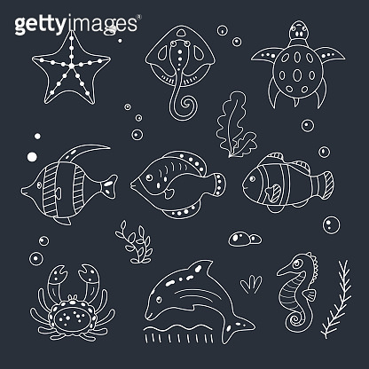 Sea animals vector set in cartoon line hand drawn style. Marine life ...
