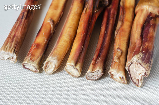 Seven sticks of dried bull pizzle. 이미지 (1208639972) - 게티이미지뱅크