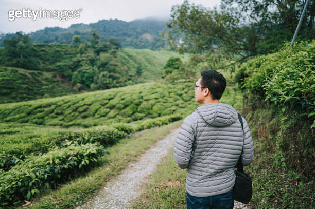 asian chinese tourist at cameron highland tea crop plantation enjoying ...