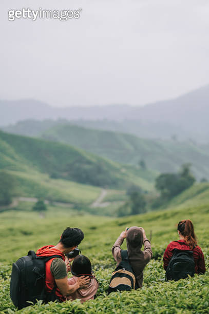 asian chinese tourist at cameron highland tea crop plantation enjoying ...