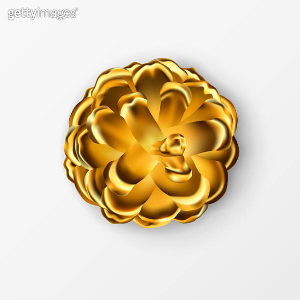Golden pine cone. Top view. Realistic 3d Object isolated on white ...