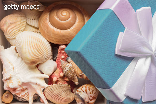 Blue giftbox with white bow ful of sea shells. tropical vacation on ...