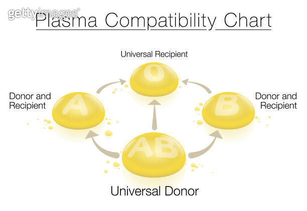 Plasma compatibility chart with universal donor AB and universal ...
