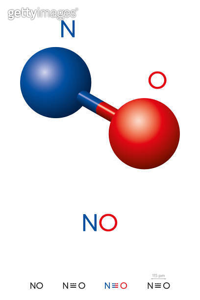Nitric oxide, NO, molecule model and chemical formula 이미지 (1199539074 ...