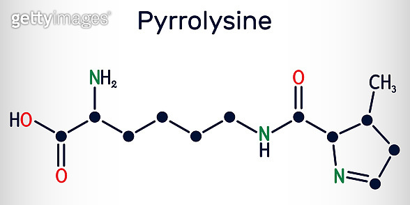 Pyrrolysine, l-pyrrolysine, Pyl, C12H21N3O3 molecule. It is amino acid ...