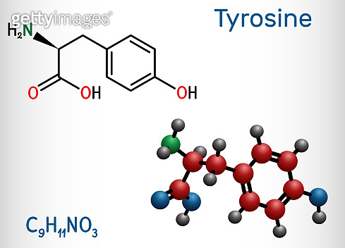 Tyrosine, L-tyrosine, Tyr, C9H11NO3 amino acid molecule. It plays role ...