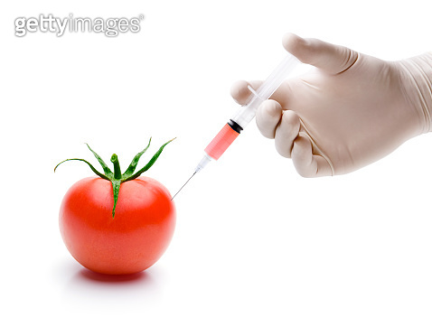 Injecting a liquid into a tomato 이미지 (1207097102) - 게티이미지뱅크