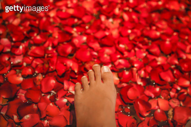Rose petals foot spa therapy to relaxing the muscle 이미지 (1219162038 ...