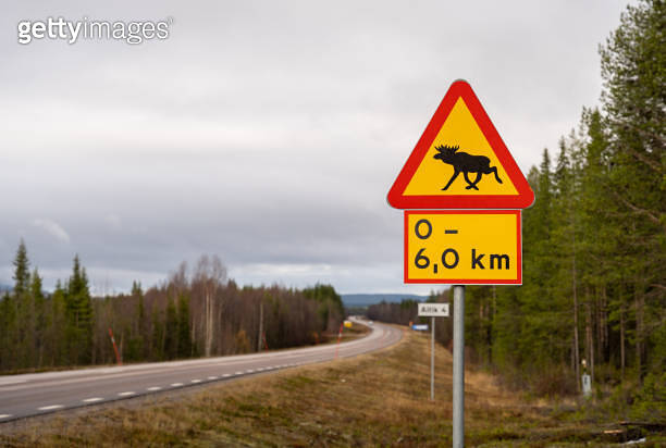 Beware of moose sign in Sweden 이미지 (1279501509) - 게티이미지뱅크