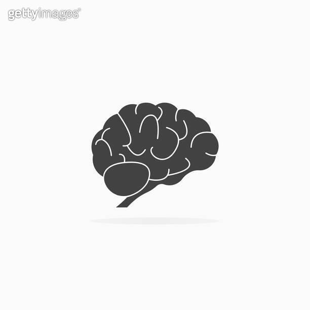 Human brain icon. Shadow and white background vector isolated 이미지 ...