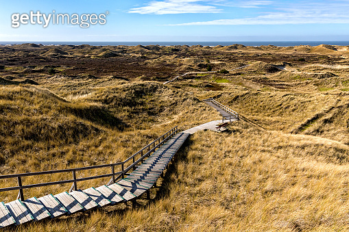 Wooden footpath through the dunes of Norddorf on the island of Amrum ...