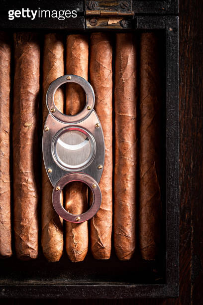 Top view of cuban cigars lay in wooden humidor 이미지 (1220218591) - 게티이미지뱅크