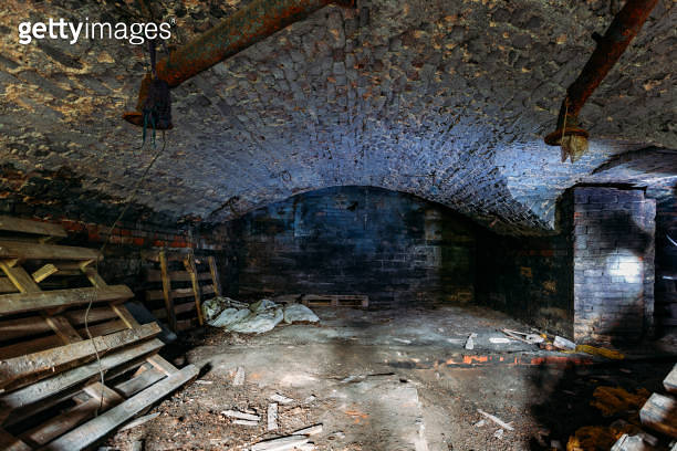 Abandoned empty old dark underground vaulted cellar 이미지 (1224046914 ...