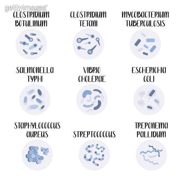 9 most pathogenic bacteria: Escherichia Coli, Staphylococcus Aureus ...
