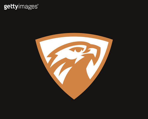 Eagle modern logo. Hawk emblem design editable for your business. Bird ...