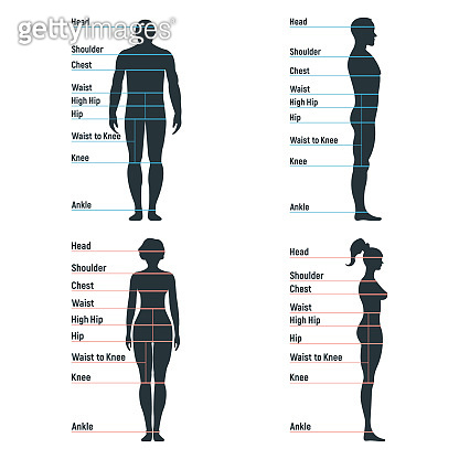 Male and female size chart anatomy human character, people dummy front ...