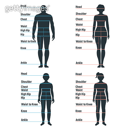 Male and female size chart anatomy human character, people dummy front ...