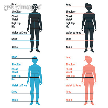 Male and female size chart anatomy human character, people dummy front ...