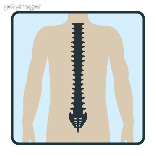 Spine backbone bone, x-ray concept icon, roentgen human body image ...