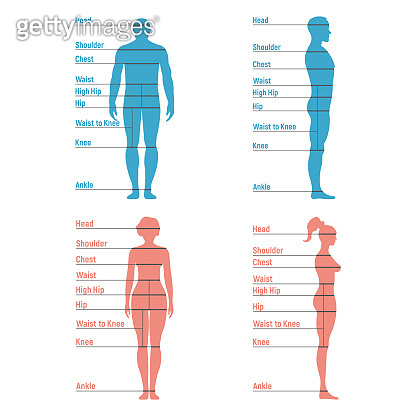 Male and female size chart anatomy human character, people dummy front ...
