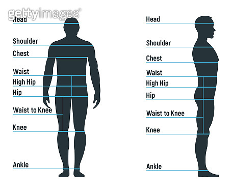 Male size chart anatomy human character, people dummy front and view ...