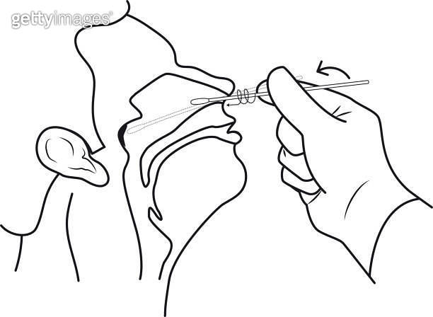 insert the swab into the nostril lines (1280580617) - 게티이미지뱅크