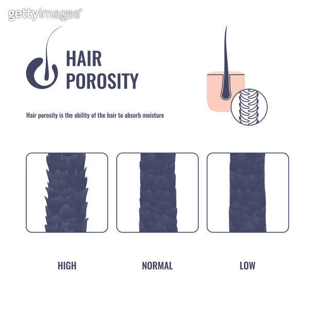 Hair porosity types chart of low, normal, high porous strand ...