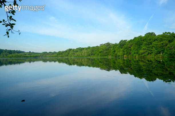 Stump Pond Scenic #6 , Blydenburgh County Park, Smithtown NY 이미지 ...