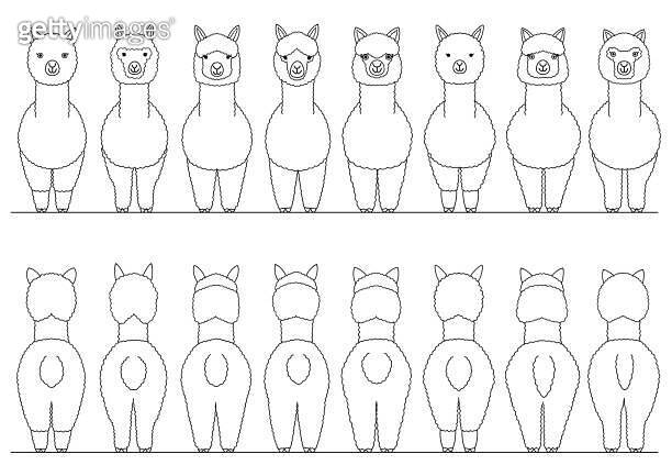 smiling alpacas border set, front and back 이미지 (1206756501) - 게티이미지뱅크