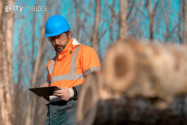 Forestry technician using digital tablet computer in forest 이미지 ...
