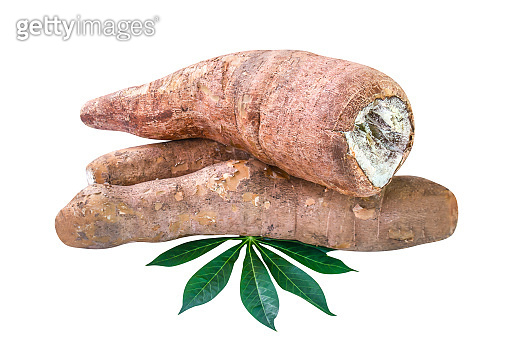 cassava tubers fresh on leaves isolated white, pile cassava manioc in ...