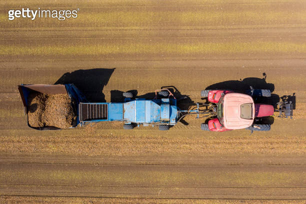 Almond picker harvester processing a field, Picking dry Almonds off the ...