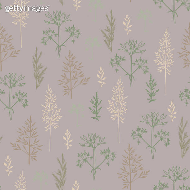a seamless pattern of different types of field herbs and twigs. For ...