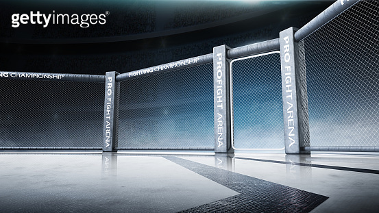 3D MMA octagon. Side scene view under lights. Fighting Championship. 3D ...