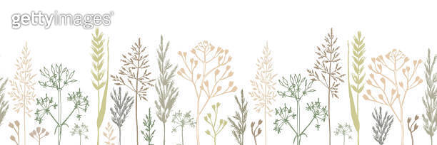 Seamless horizontal pattern of different types of field herbs ...