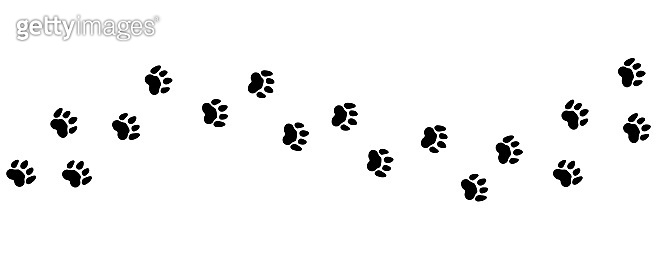 Animal steps trail. Pets foot prints, cat or dog road vector ...