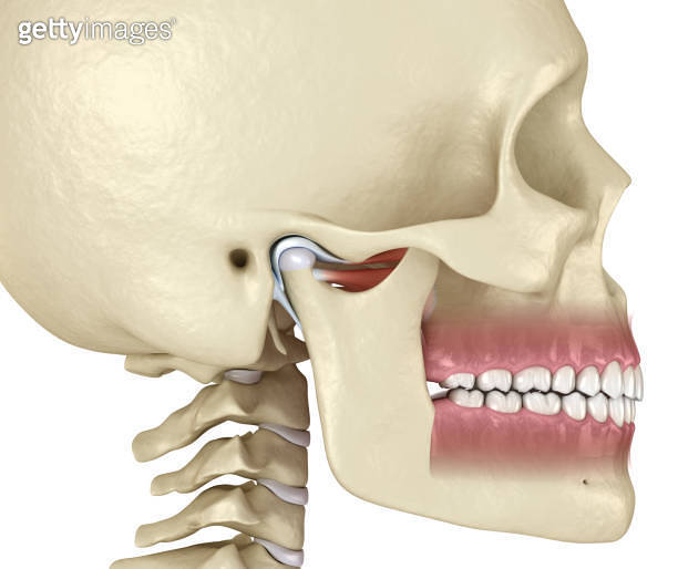 TMJ: The temporomandibular joints. Healthy occlusion anatomy. Medically ...