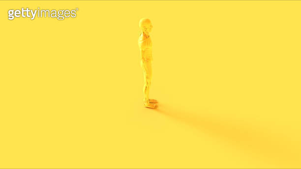 Yellow Ecorche System Anatomical Model Right View (1204815622) 일러스트, 무료 ...